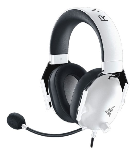 Video Gaming Headsets & Headphones | Abt