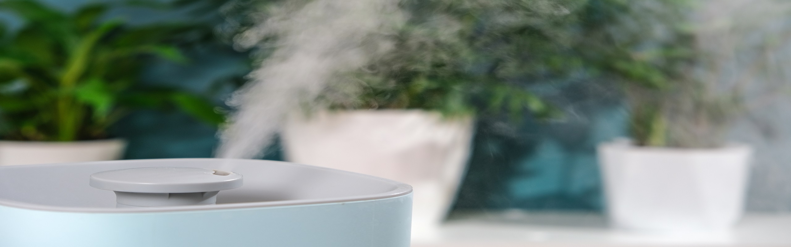 Humidifier Buying Guide | Abt