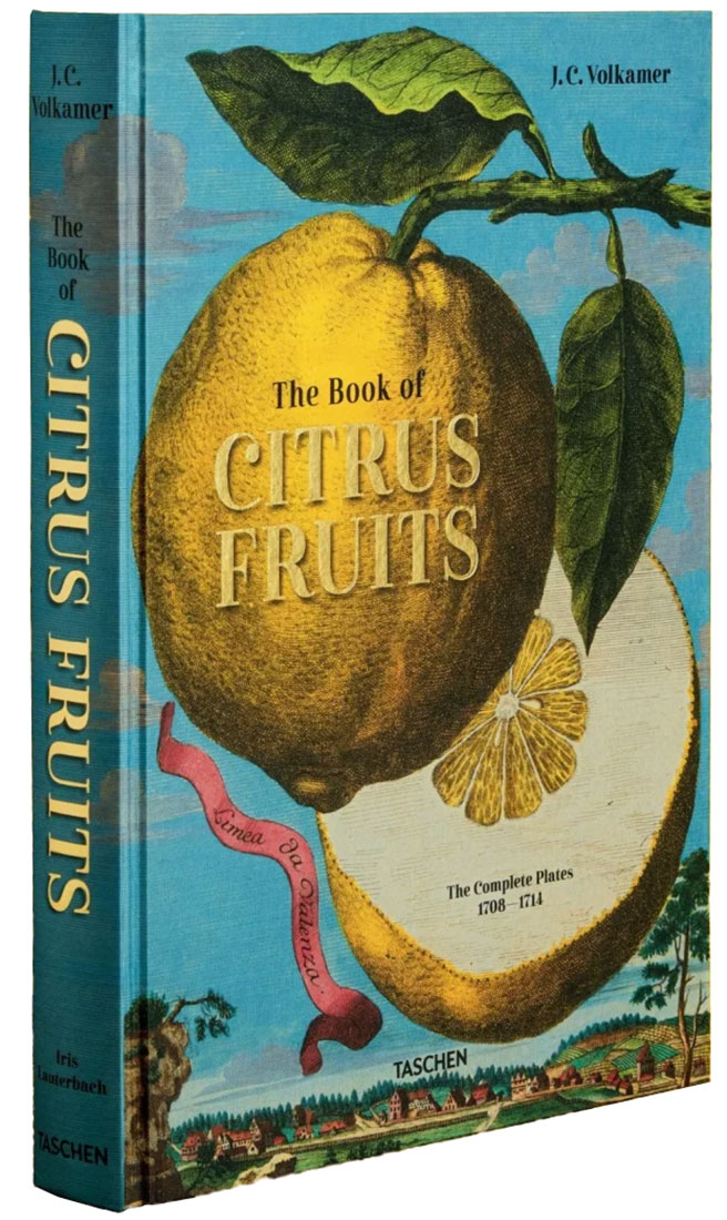 J C Volkamer The Book of Citrus Fruits - TASCHEN-JCVOLKAMER | Abt