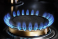 JennAir 36" Stainless Gas Downdraft Cooktop JGD3536GS | Abt