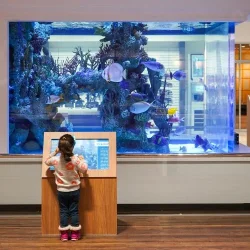 Cove ADA Height Dishwasher 24-Inch, Panel Ready - DW2451/ADA | Abt