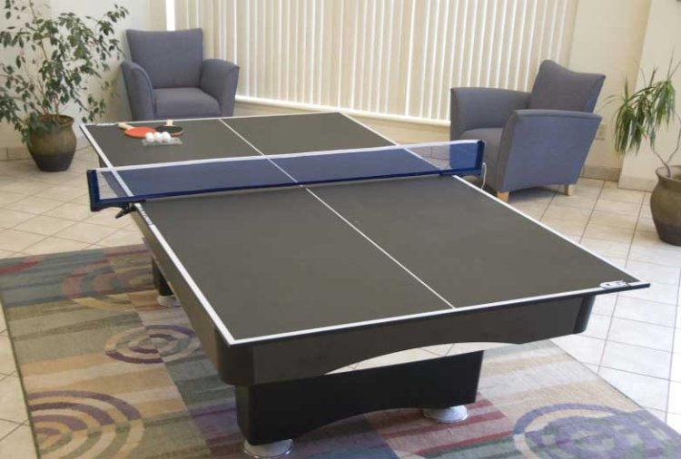 ping pong table top