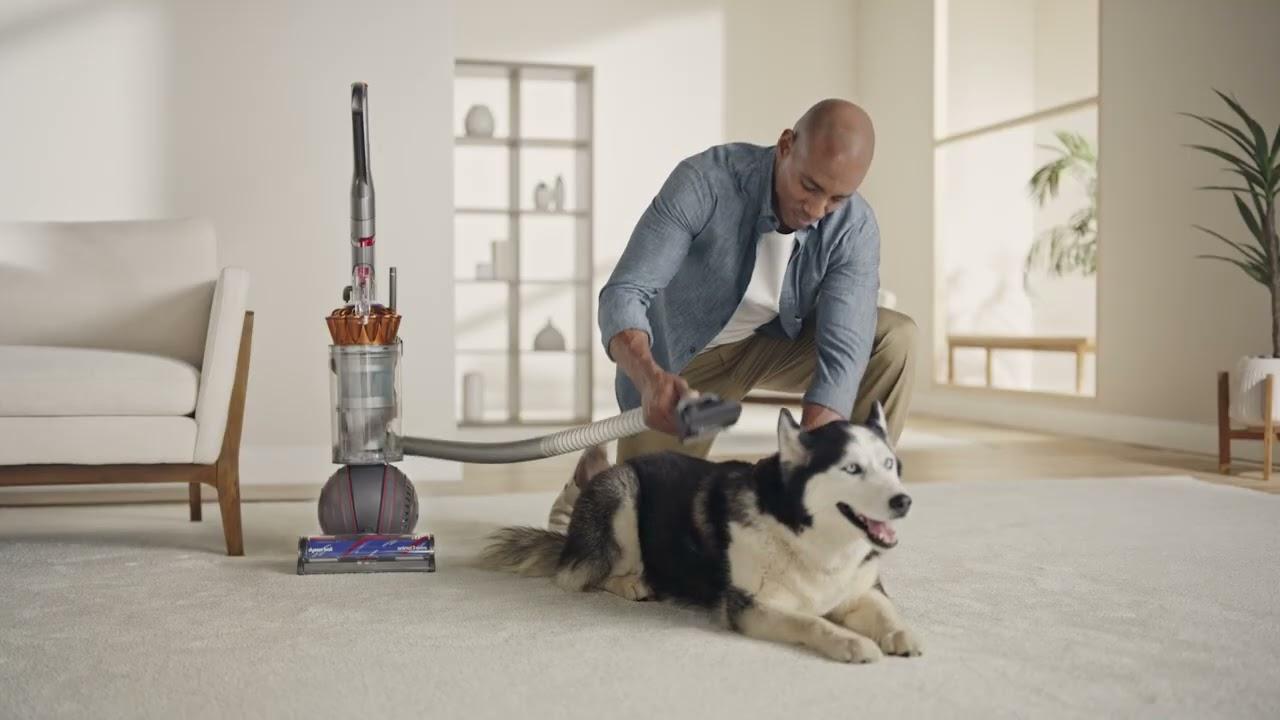 Dyson Ball Animal 3 Extra Upright Vacuum Cleaner | Abt