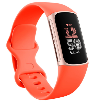 Fitbit Versa 4 Platinum Blue Smartwatch - FB523SRAG-US | Abt