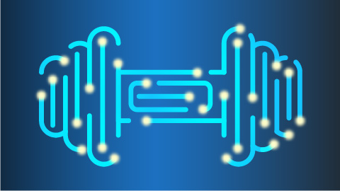 Body-Solid 60 lb Hex Dumbbell (Each) - SDX60 | Abt