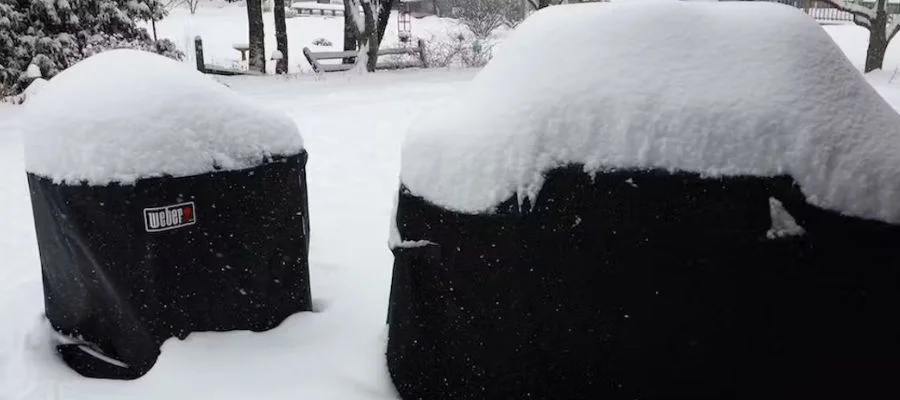 How To Winterize Your Yard in Chicago for the Season | Abt