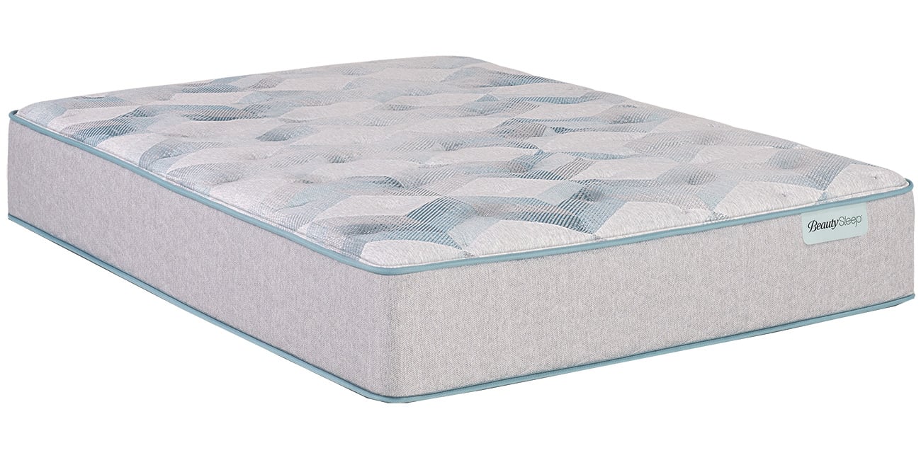 BeautySleep Dream Weaver Plush Full Mattress - 700812183-1030