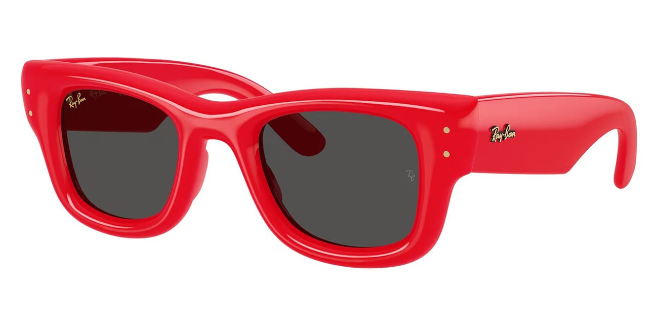 Ray-Ban ASAP Rocky Wayfarer Puffer Sunglasses in Red