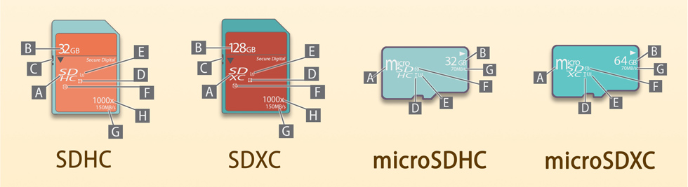 Memory Card Buying Guide: Which Memory Stick is Best for You | Abt